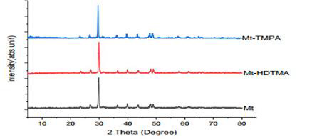 Monitoring BTEX Adsorption on to Organoclays in Aqueous Solution: Multi-isotherm and Kinetics ...