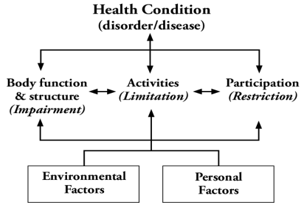 Functioning and Disability in Alzheimer’s Disease